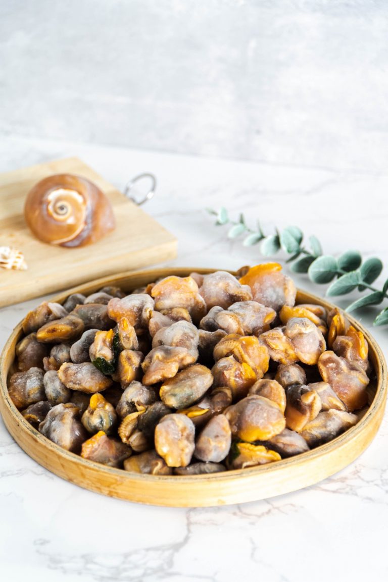 Ark-shell-meat – Ocean Fresh