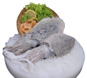 Products – Ocean Fresh